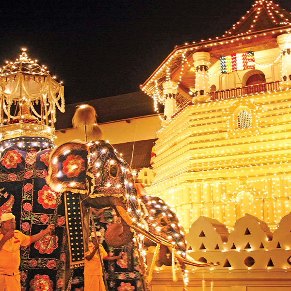 Experience the Spectacular 1st Kumbal Perahera 2025 – Book Your Seat ...